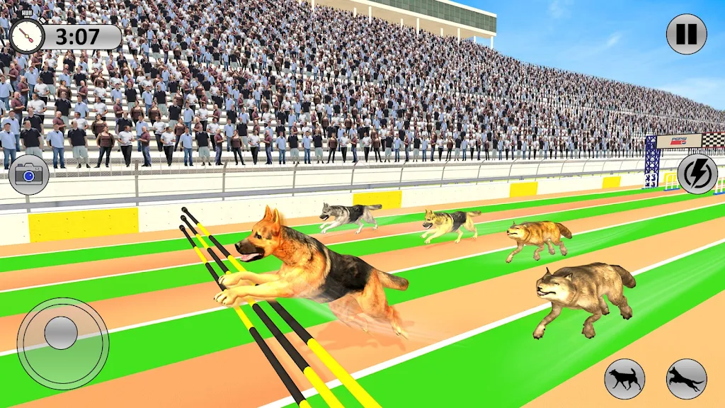 Greyhound 3D Dog Racing Fever Mod Apk v1.0(Unlimited Resources) Download