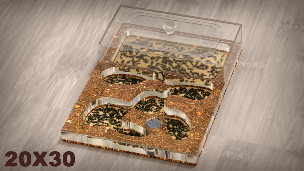 Ant Farm Simulator Mod Apk v2.1.3(Unlocked Premium) Download